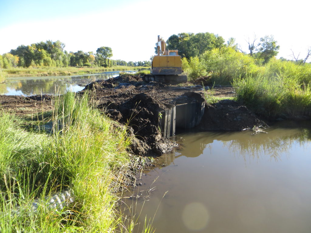 WetlandDynamics | Wetland Dynamics